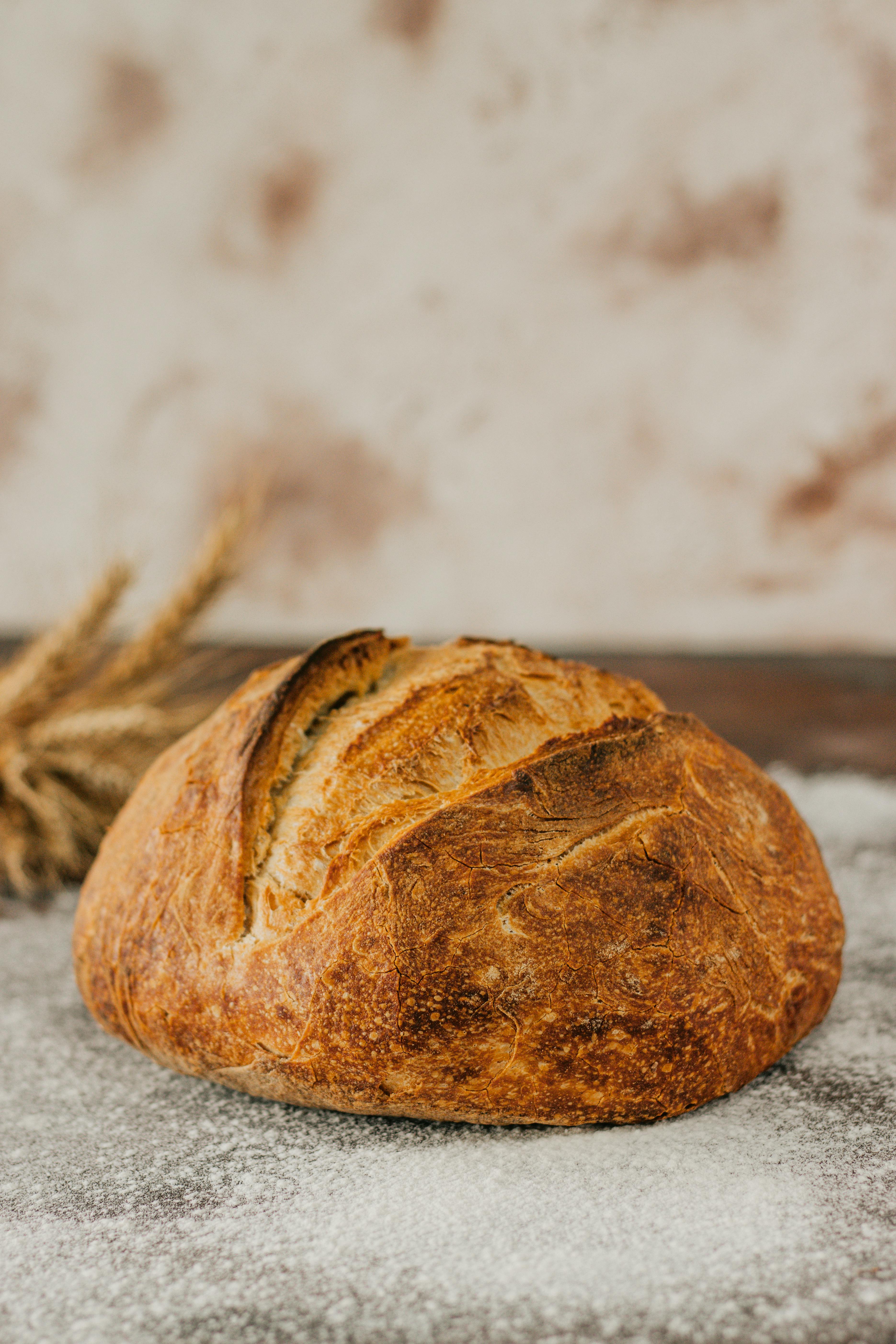 Altamura Bread Experience: Ancient Oven Visit & Hands-On Baking ...